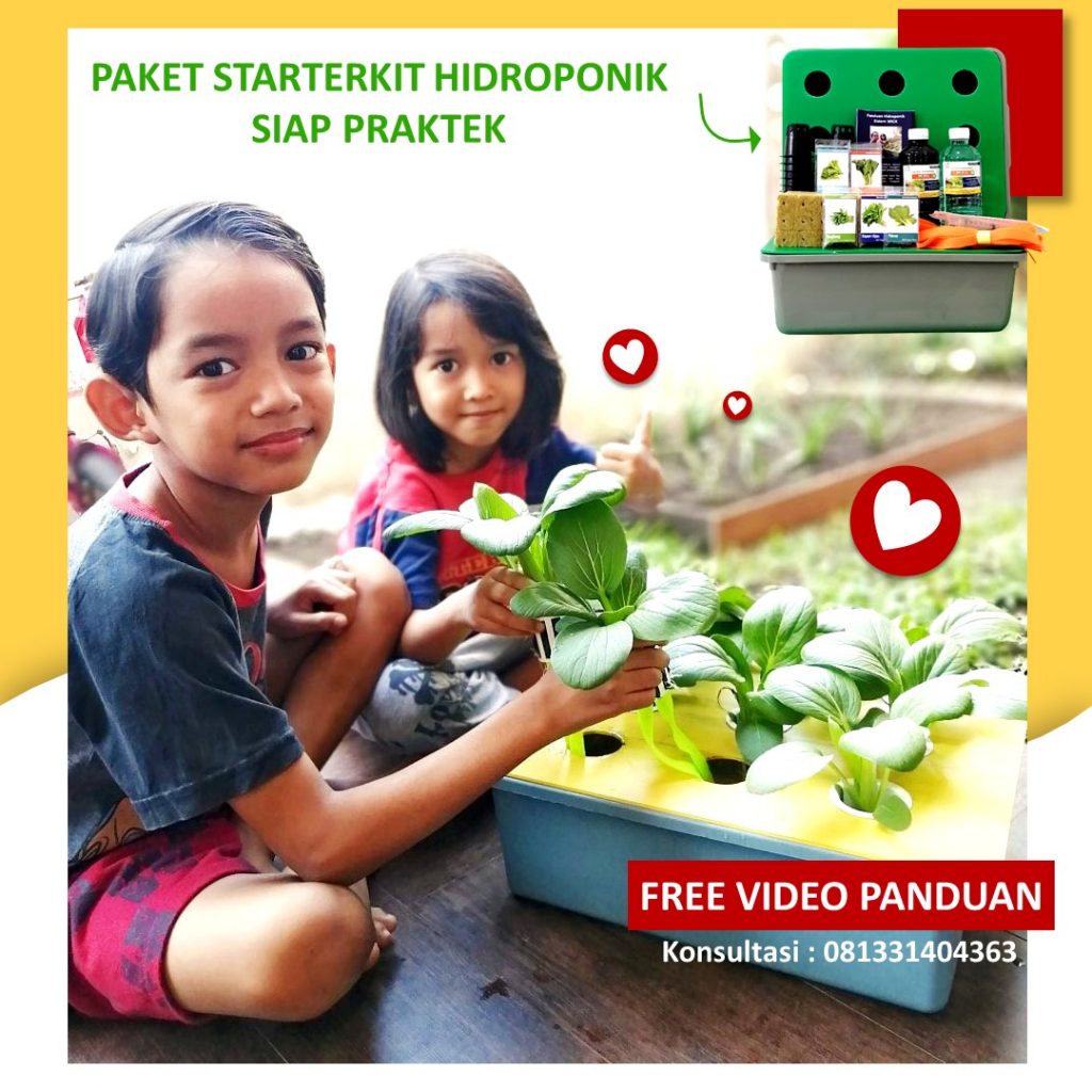 StarterKit Hidroponik 2021 - Hidroponik dan Green House Tritani Agri